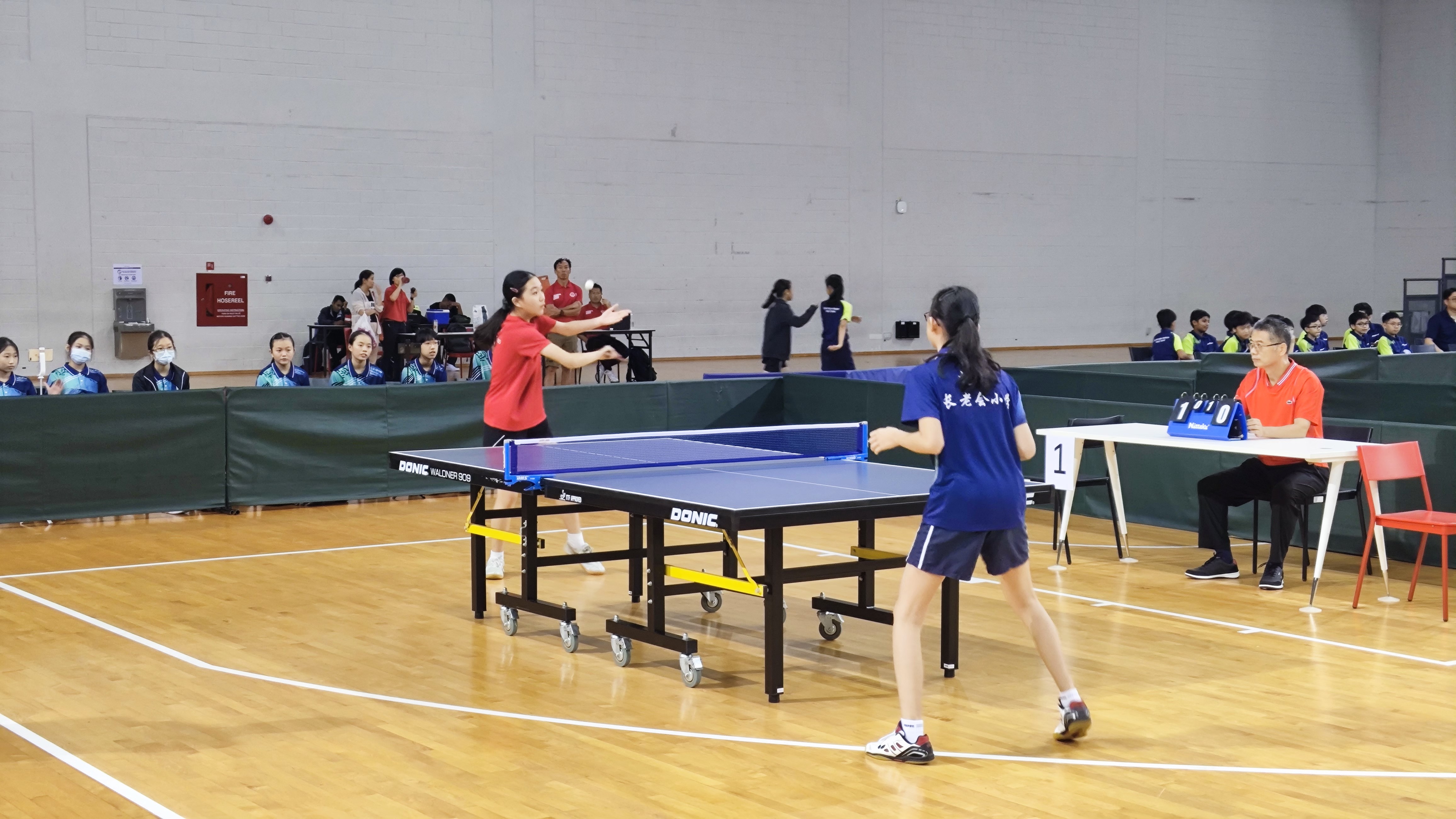 Table Tennis